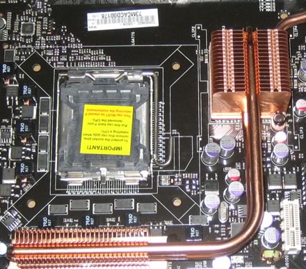 Asus Commando - Printer Friendly version